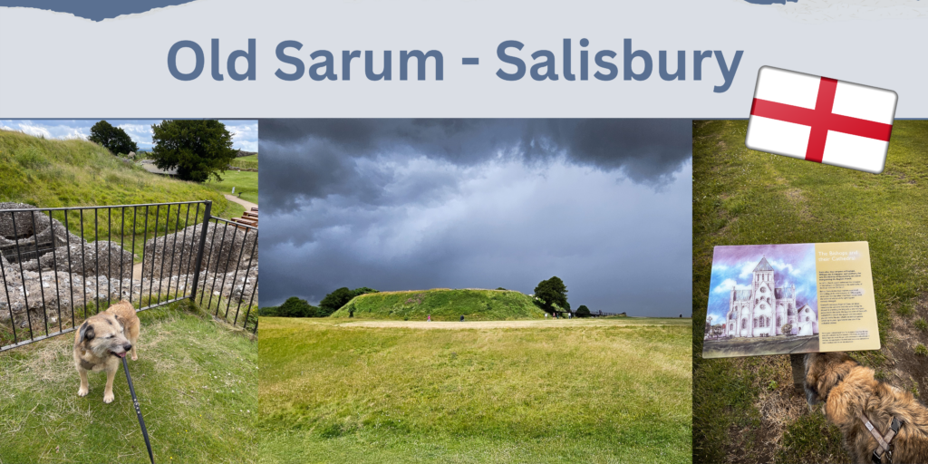 Old Sarum - Salisbury | Hundefreundlich in England - Steffis Schreibsicht
